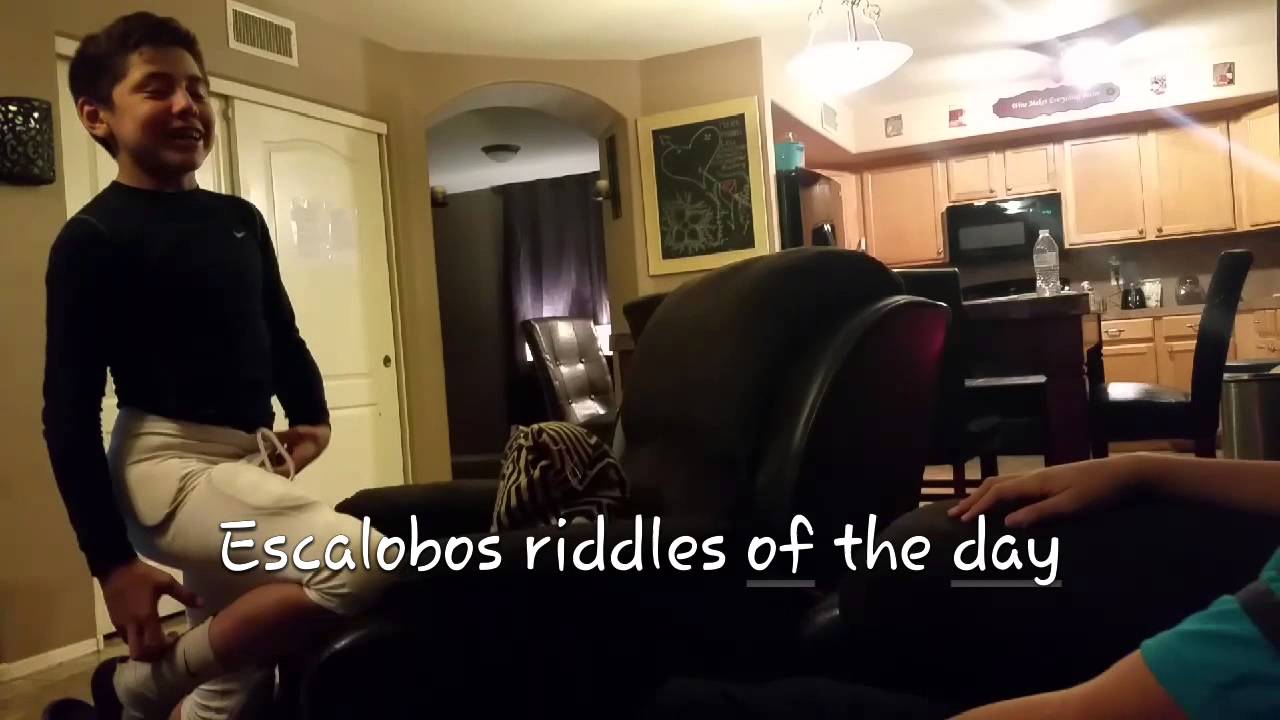 Turtles riddles of the day... 11*10*2015 - YouTube