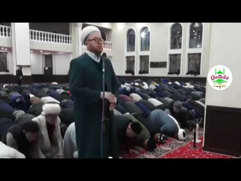 Anvarxon qori.  Yig'lamaslikni iloji yo'q. Анвархон к,ори.йиг'ламасликни иложи йо'к,.