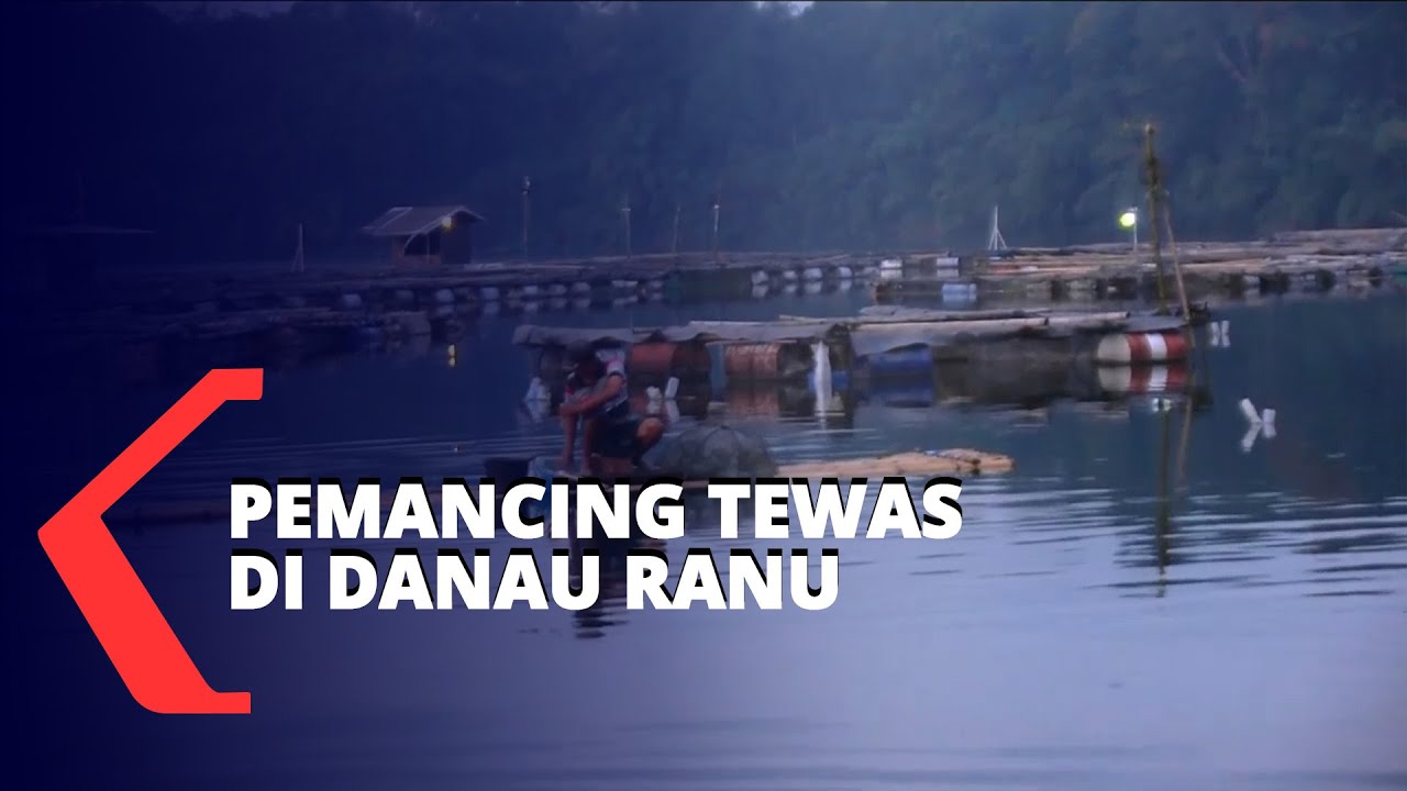 Pemancing Tewas Terapung di Danau Ranu Pakis Lumajang - YouTube