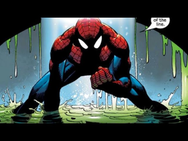 Killing Spiders Cartoon