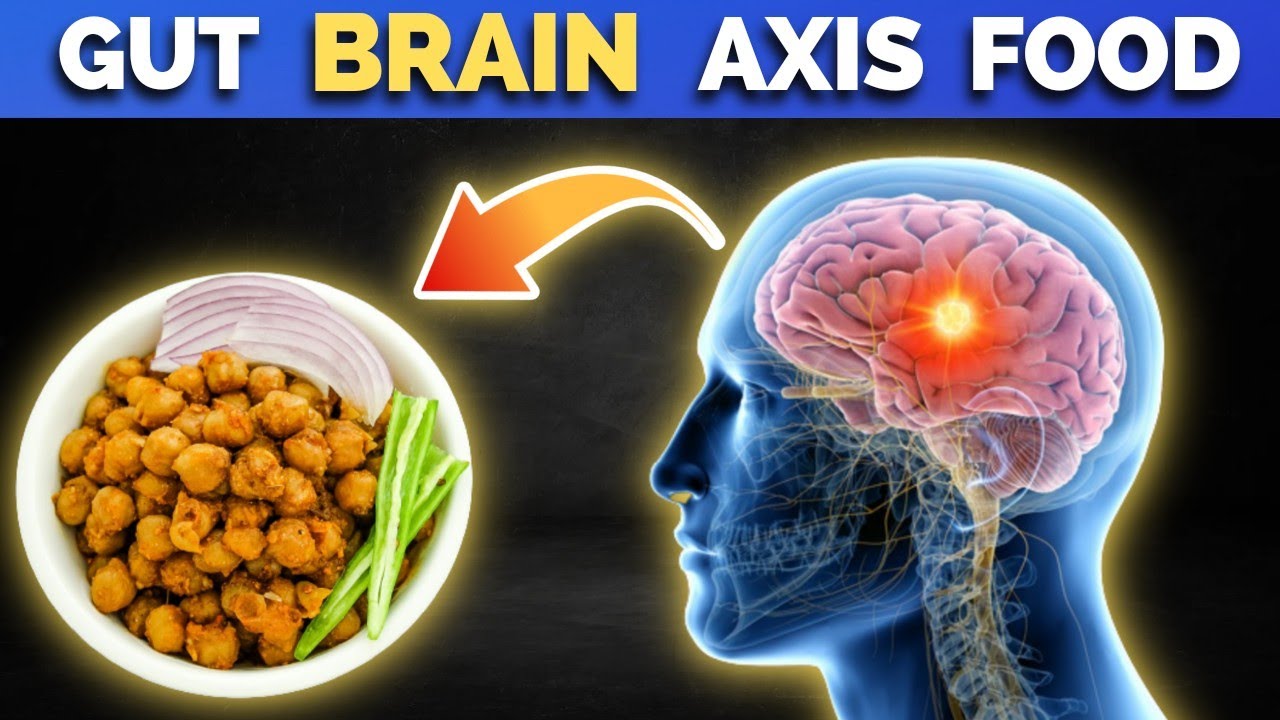 The 5 Most Important Foods To Optimize Your GUT BRAIN AXIS - YouTube