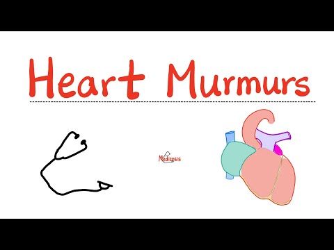Heart Murmurs - Quick Review - Stenosis, Regurgitaion, AS, AR, MS, MR, PS, PR, MVP, TS, TR
