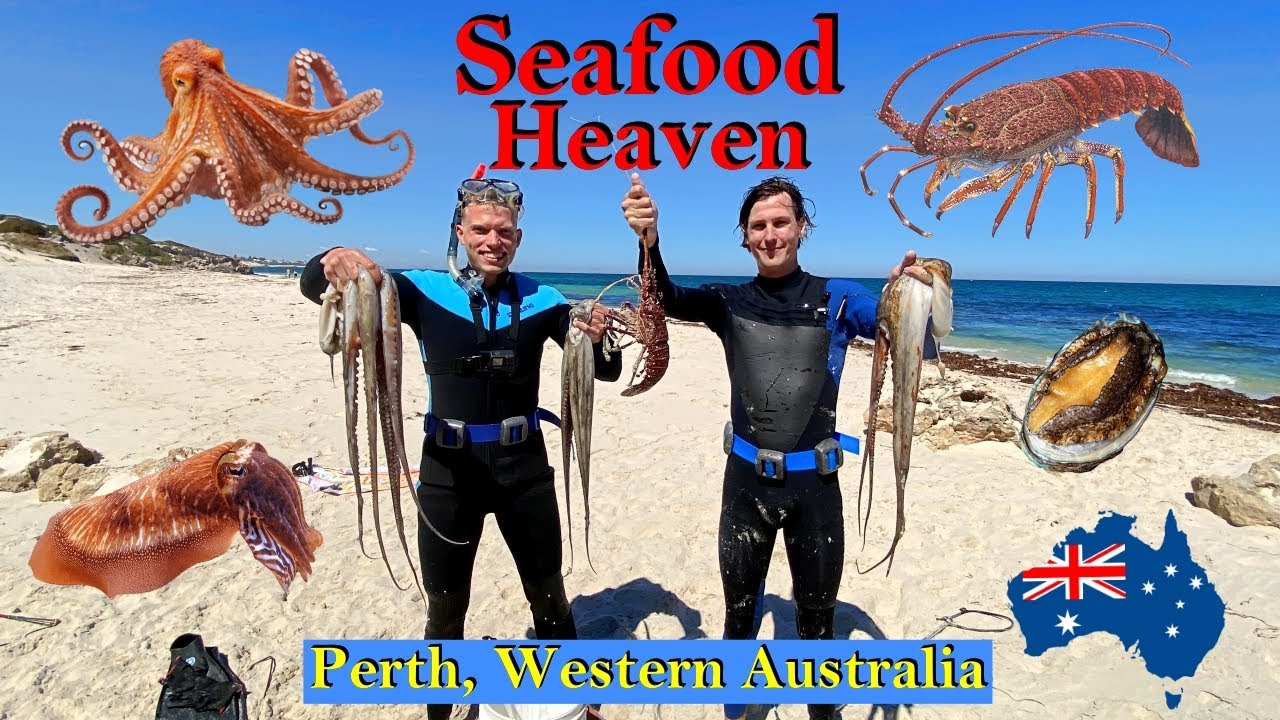 Catching Incredible Seafood In Western Australia - YouTube