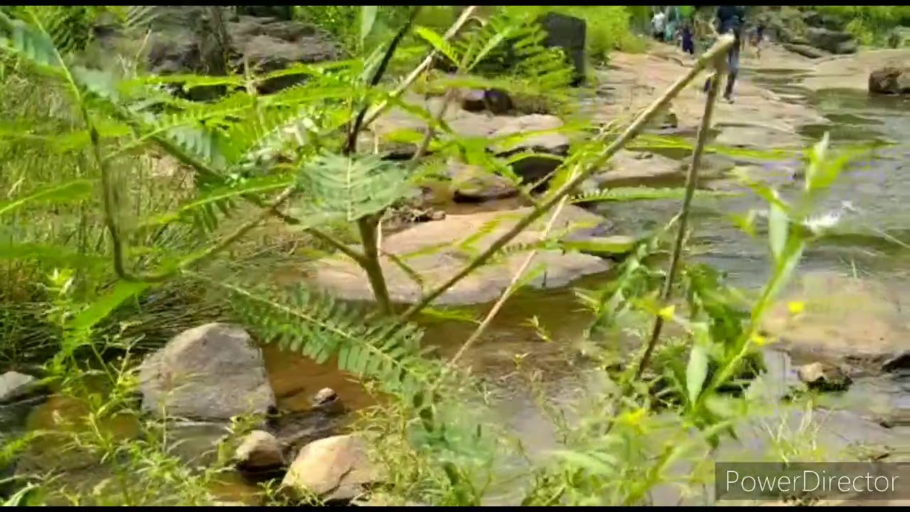 Gujarat || Garud gufa waterfall zari || chikhli || 🌊🌊😍 - YouTube