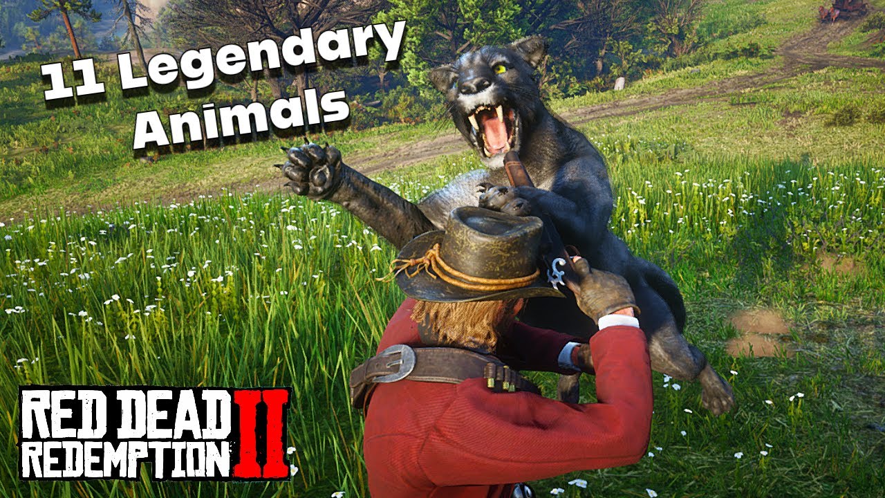 I Hunted Every Legendary Animal In RDR2 - YouTube