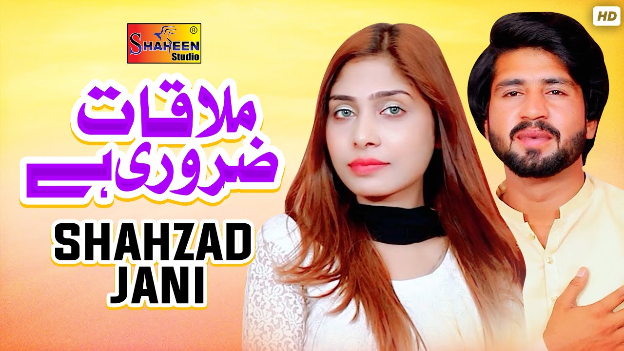 Mulaqat Zaroori Hay | Shahzad Jani | ( Official Video ) | Shaheen Studio - YouTube