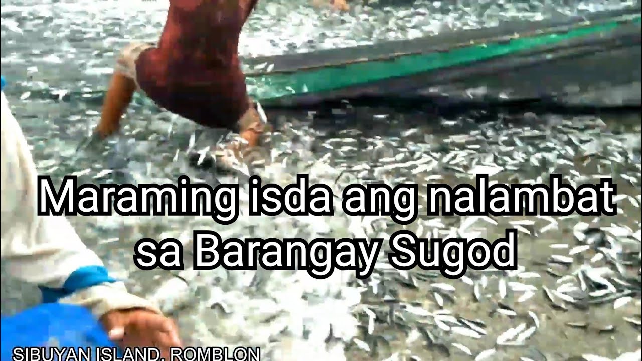 MARAMING ISDA ANG NALAMBAT SA BARANGAY SUGOD! 😍 | Sibuyan Island ...