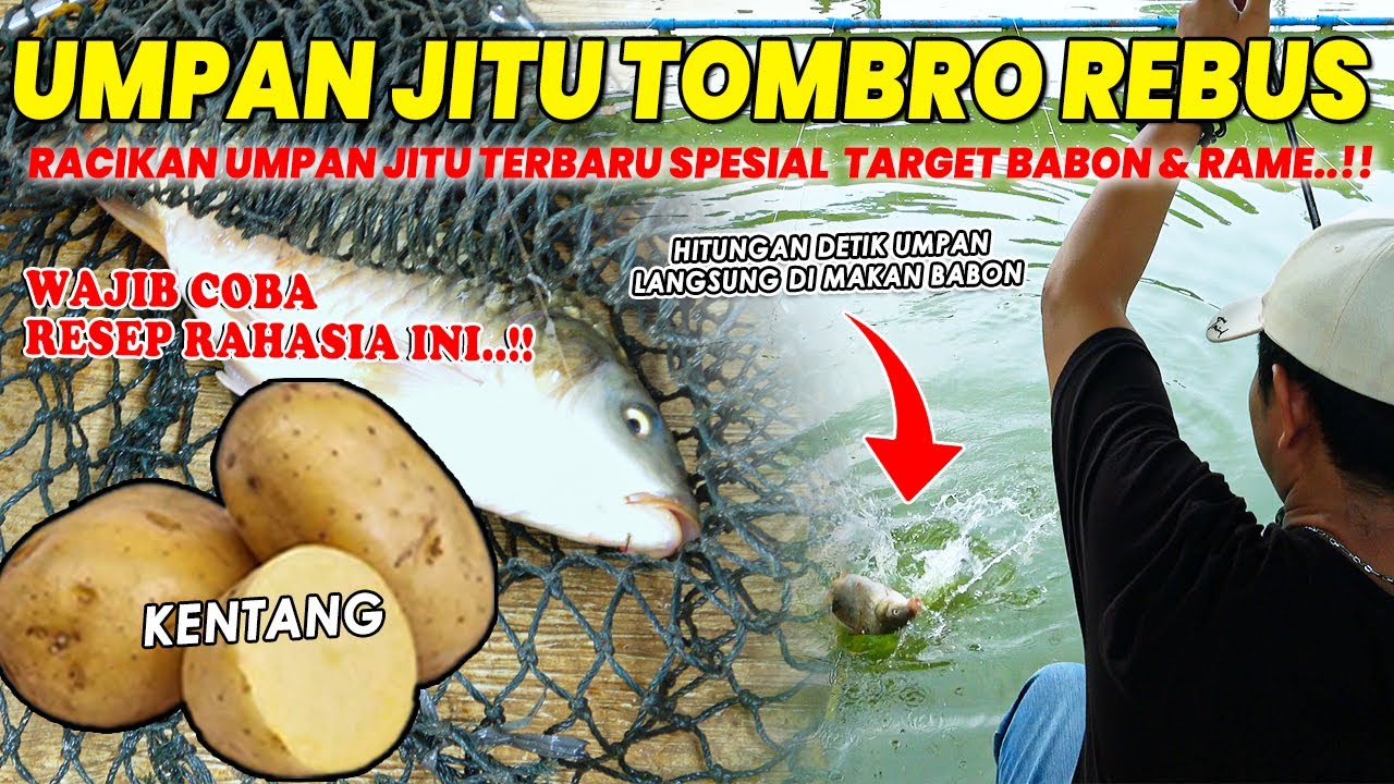 TERBARU !! RACIKAN UMPAN SUPER TOMBRO REBUS RESEP JITU UMPAN IKAN MAS ...