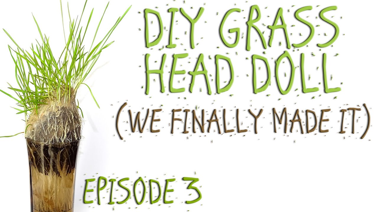 DIY GRASS HEAD DOLL - SIMPLE, BUT VERY COOL EXPERIMENT! - YouTube