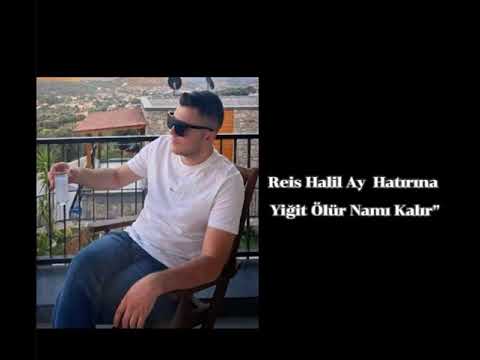 Reis Halil Ay 🌙