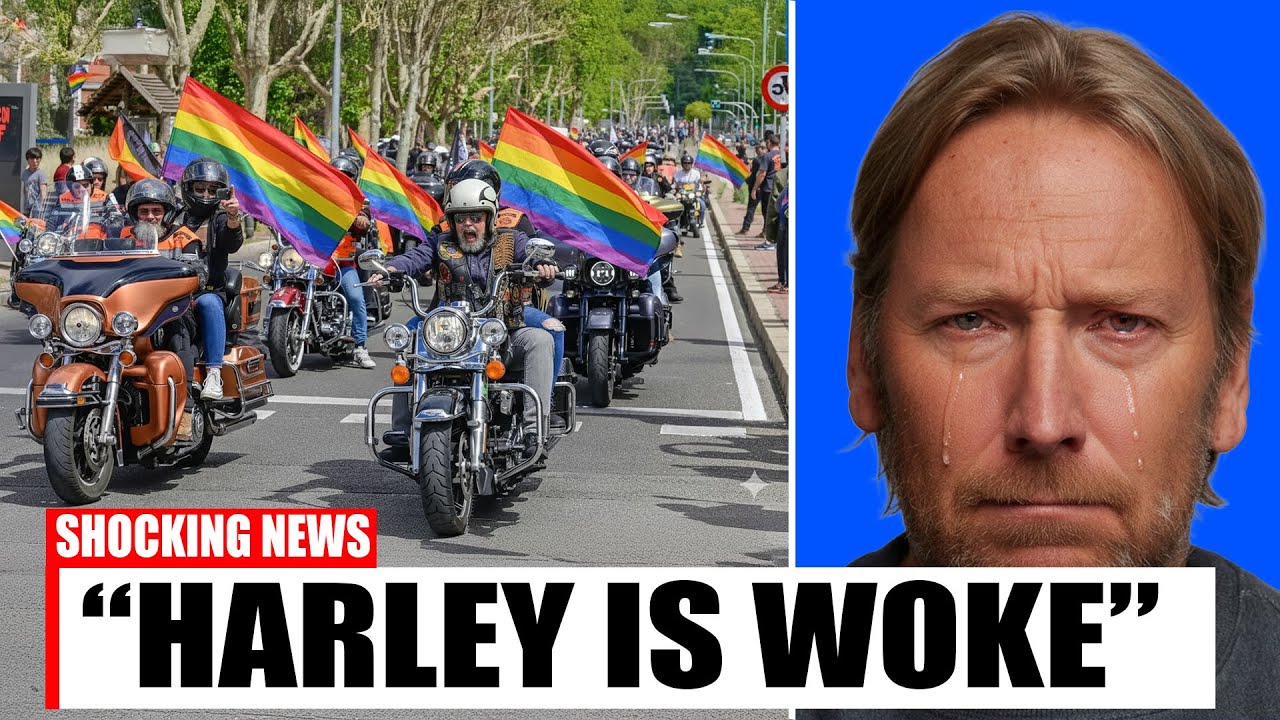 Harley's Woke CEO is GONE - New Leadership Promises to Save the Brand ...