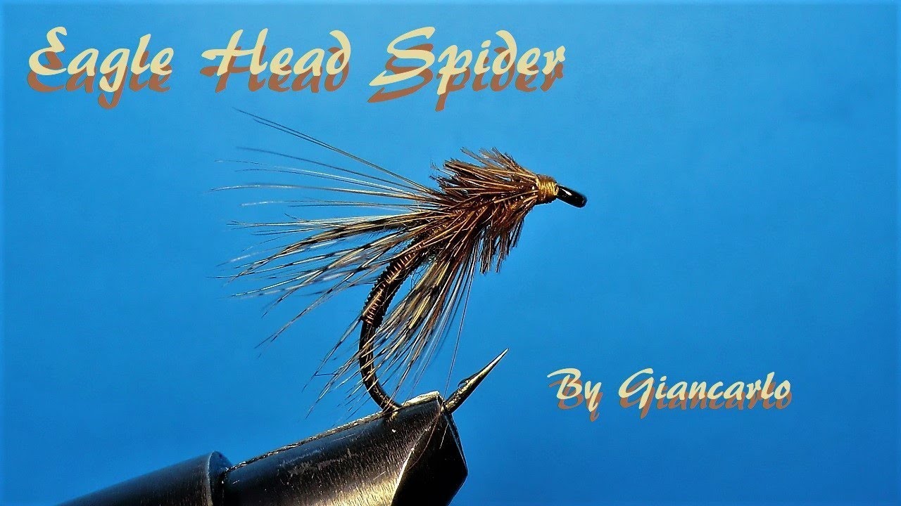 FLY TYING EAGLE HEAD SPIDER By Giancarlo - YouTube