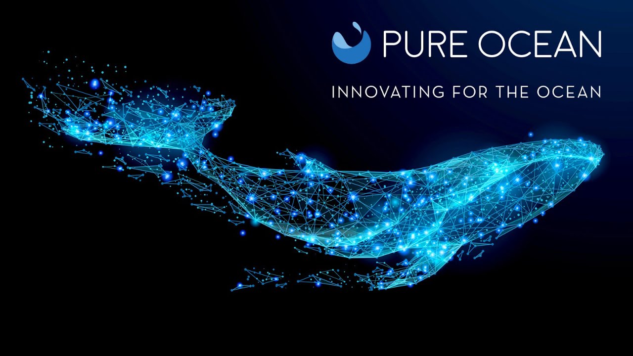 The Pure Ocean Fund in 2 minutes - YouTube