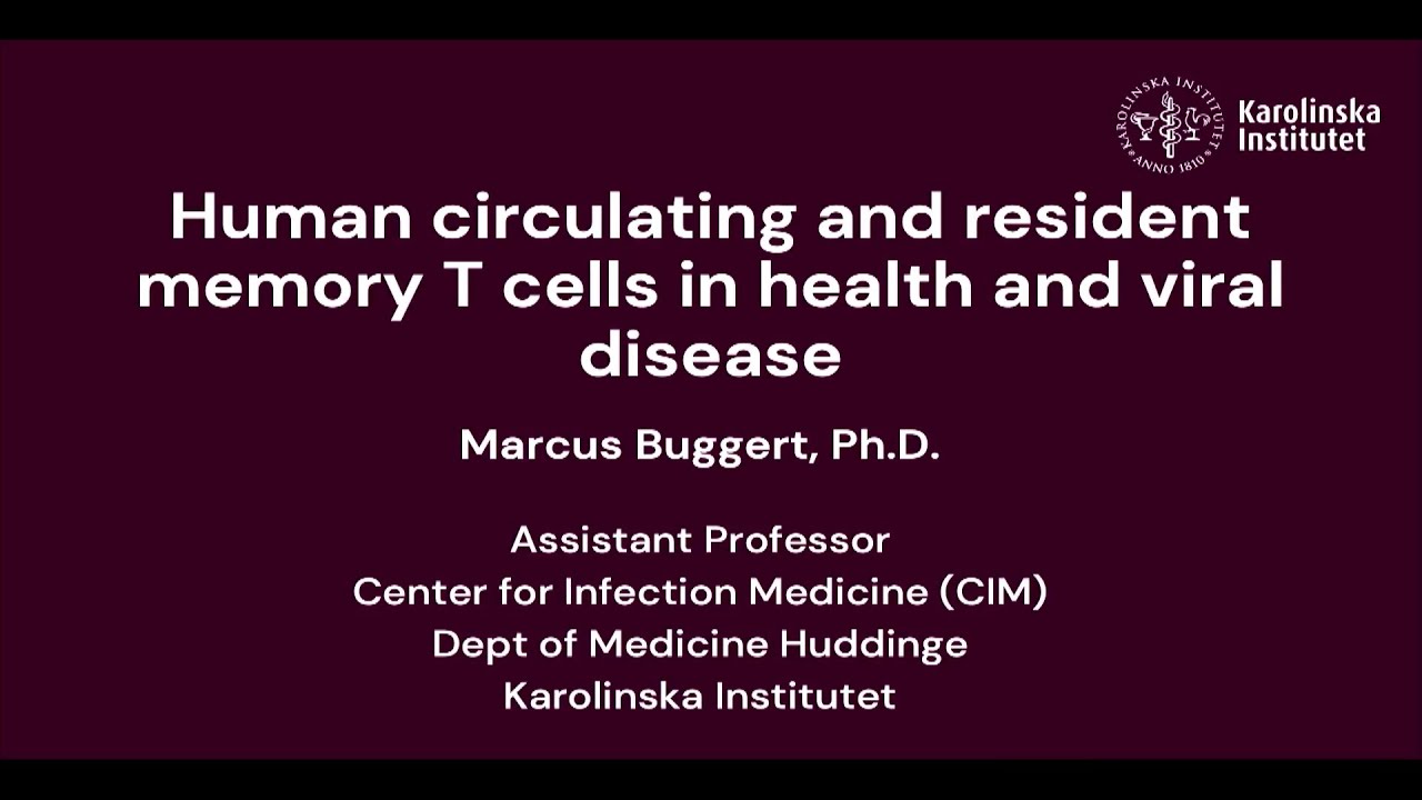 Human Circulating and Resident Memory T Cells in Health and Viral ...