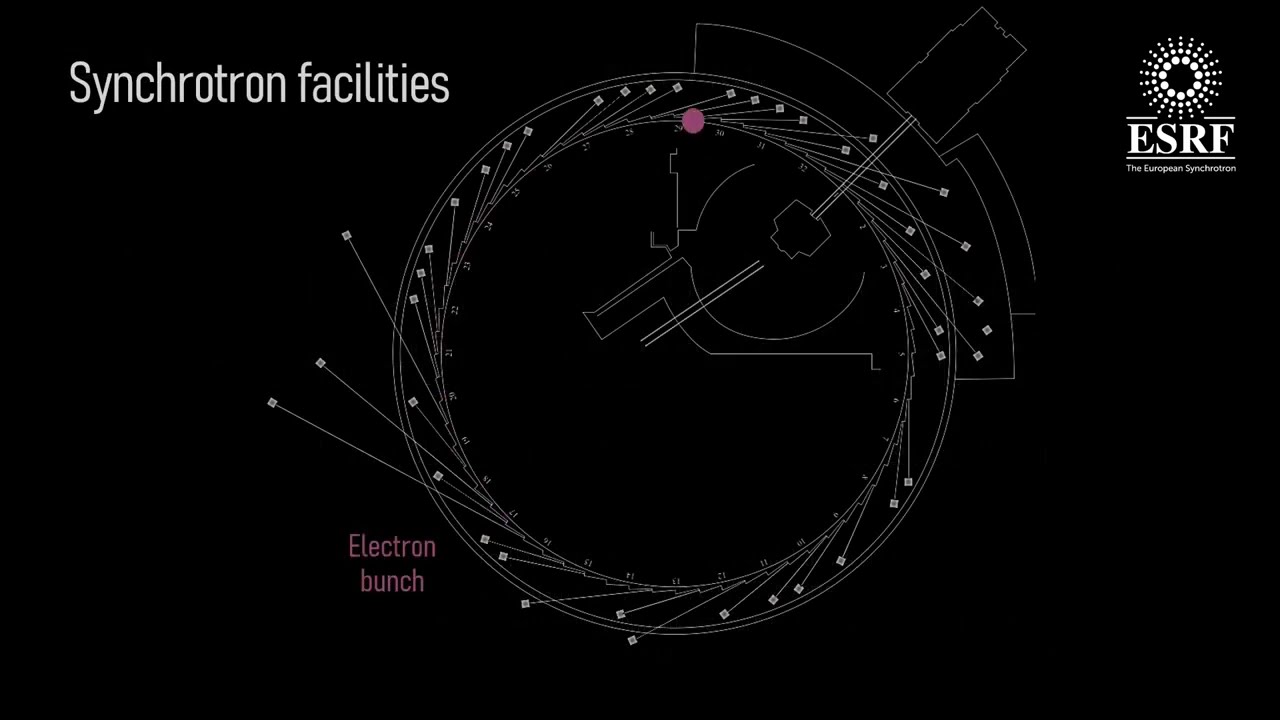 High-speed synchrotron X-ray imaging of ultrasound-induced droplet ...