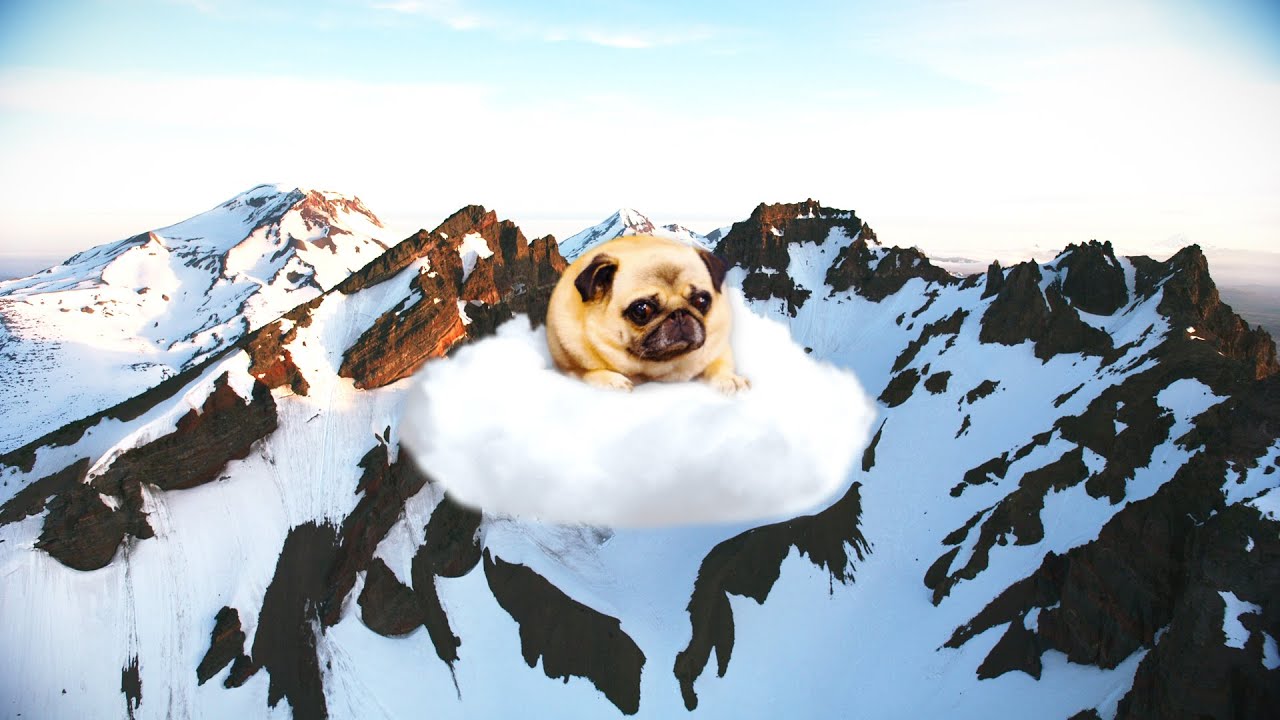 Soar Over Snowy Mountains with Pearl the Peaceful Pug! 🏔️🐶🪽 - YouTube