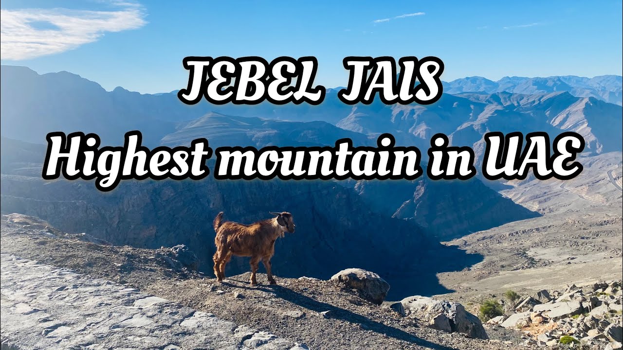 Jabel Jais Mountain Ras Al khaimah |Highest Mountain in UAE|road trip ...
