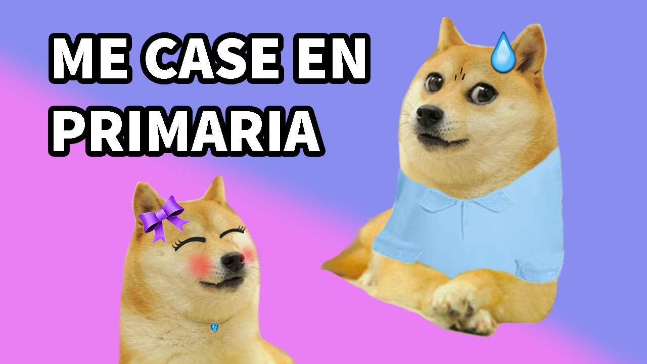 ME CASE EN PRIMARIA SIN SABERLO / Hilo corto con cheems - YouTube