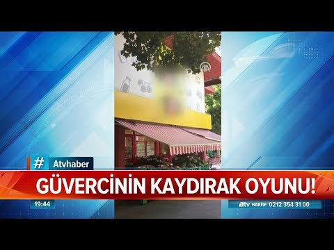 Güvercinin kaydırak oyunu! - Atv Haber 29 Temmuz 2019