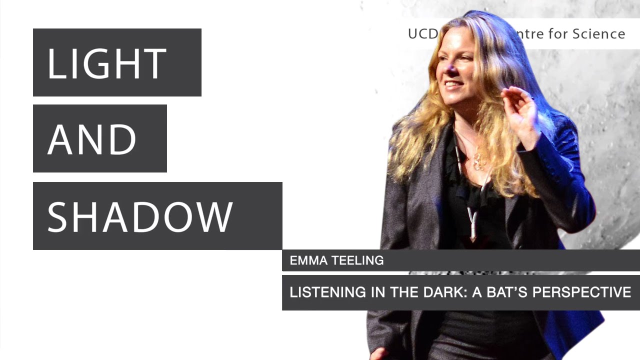 Listening in the Dark: a Bat’s perspective | Emma Teeling | Light ...