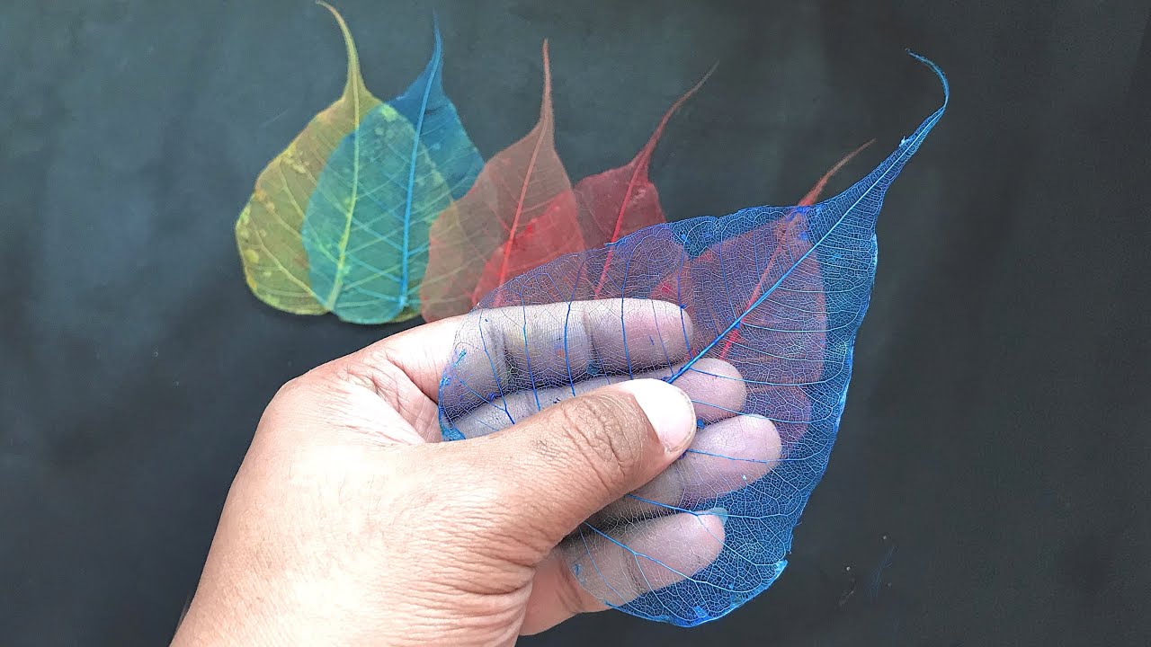 Coloring Skeleton Leaves | How to Color Skeleton Leaves | Leaf Craft ...