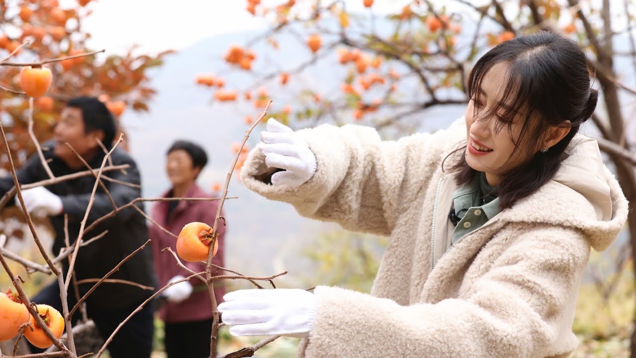 Lưu Mẫn Đào cut show 山水间的家 #刘敏涛 #山水间的家 - YouTube