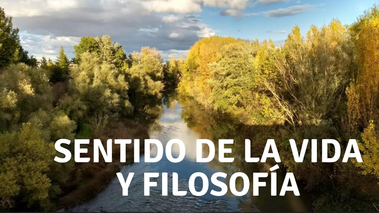 SENTIDO DE LA VIDA Y FILOSOFÍA - YouTube