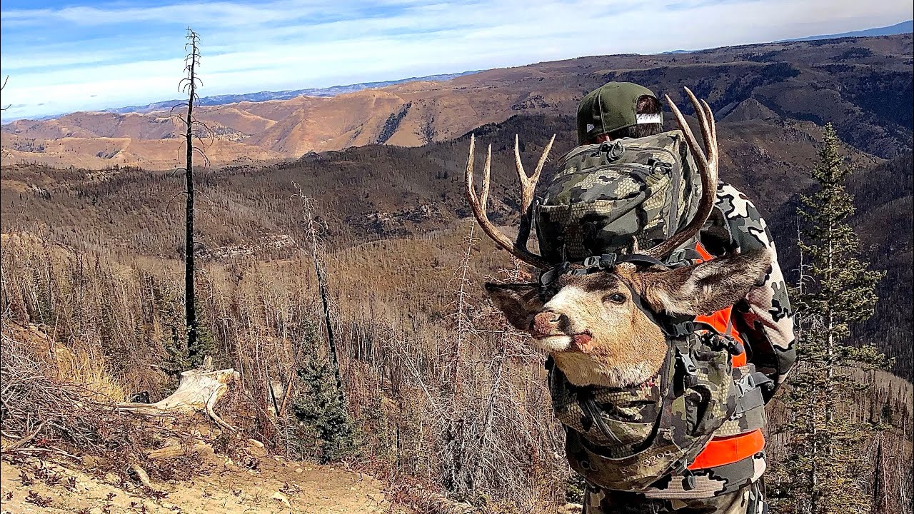 My Biggest Buck Ever - 2020 Utah General Season Deer Hunt - YouTube