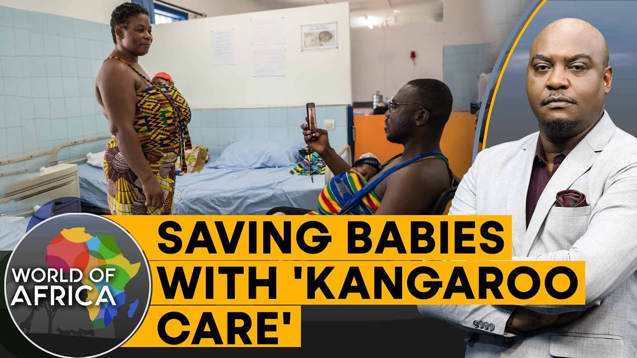 Indigenous care for kangaroos as inexpensive method saves baby roos ...