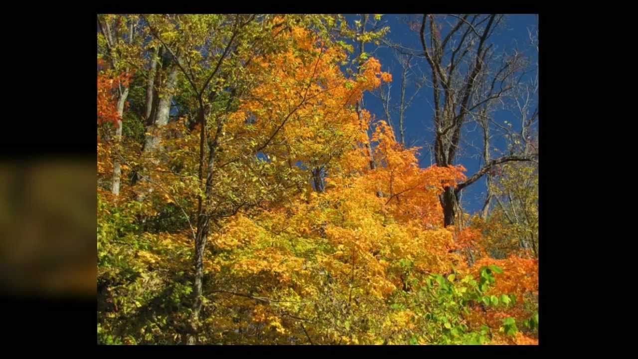 Autumn Colors in Columbus Ohio - YouTube