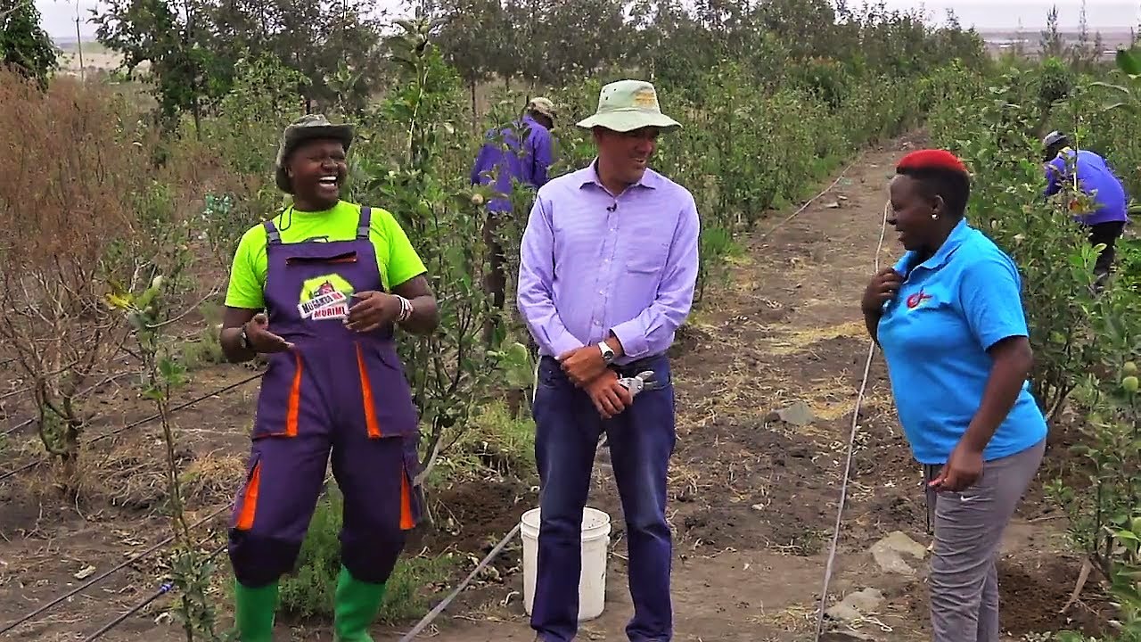 Wambugu Apples Farmer Testimonial in his farm in Isinya, Kajiado County ...