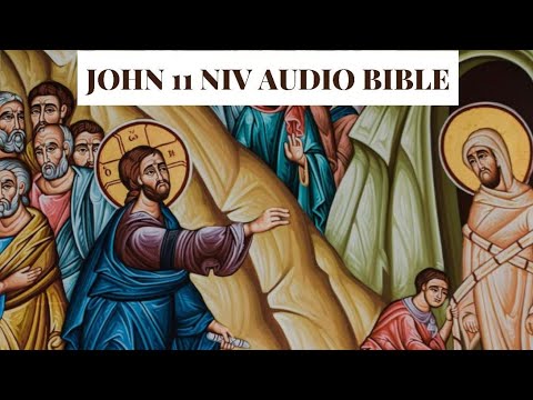 John 11 NIV AUDIO BIBLE(with text) - YouTube