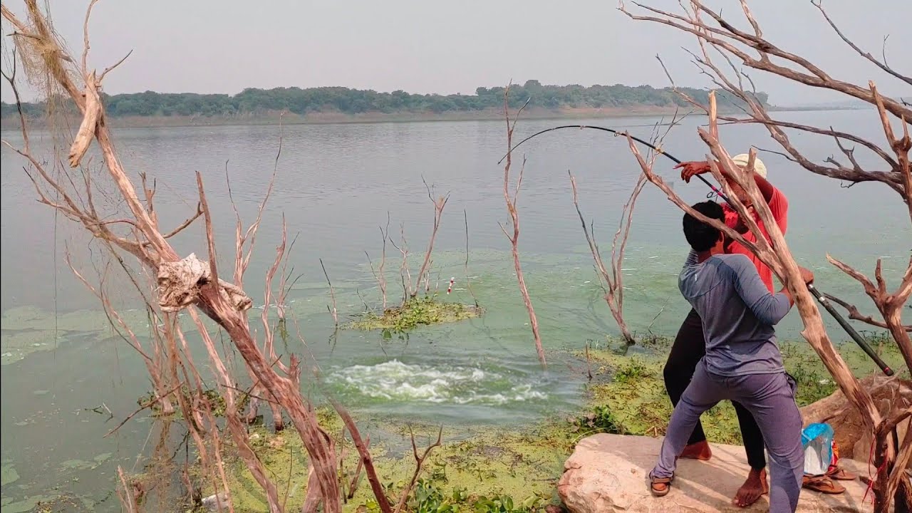 BIGFISH 8KG catching with single hook| river fishing |fishing video ...