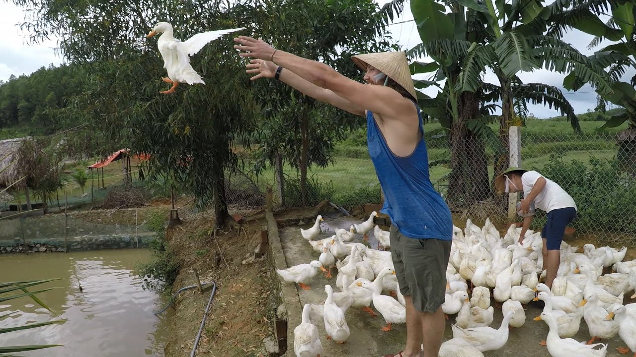 Welcome to DUCK HEAVEN | Most wholesome experience in Asia - YouTube