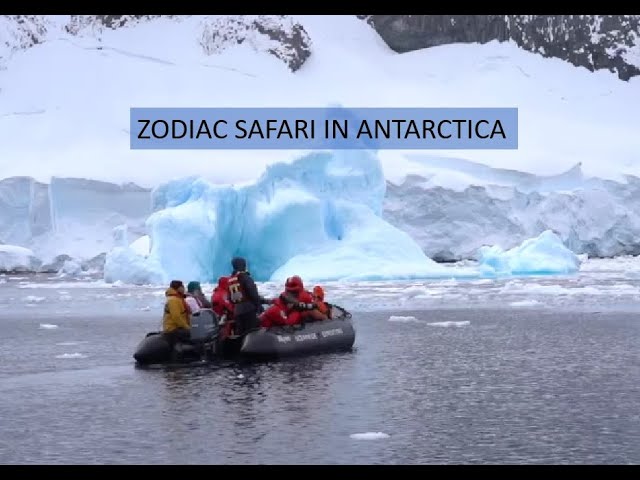 Zodiac ride antarctica - Horoscopeaz.com