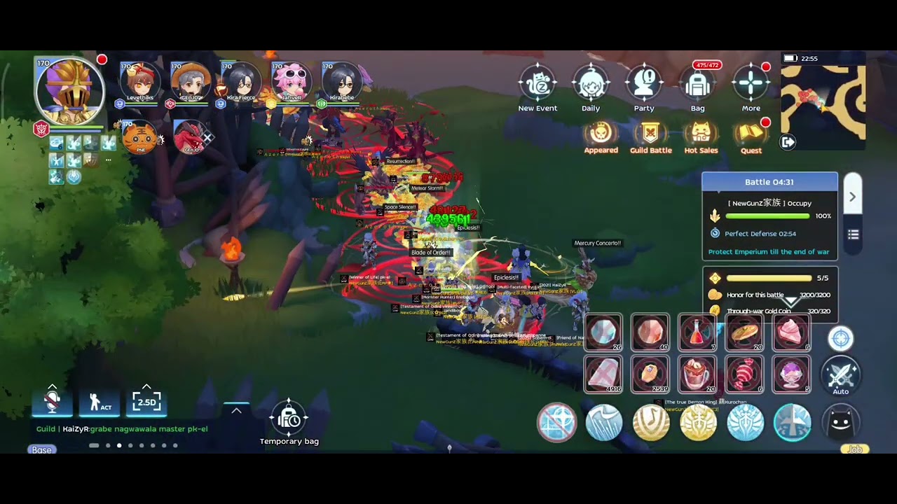 Divine Avenger POV Tank support build WOE with NEWGUNZ GUILD - YouTube