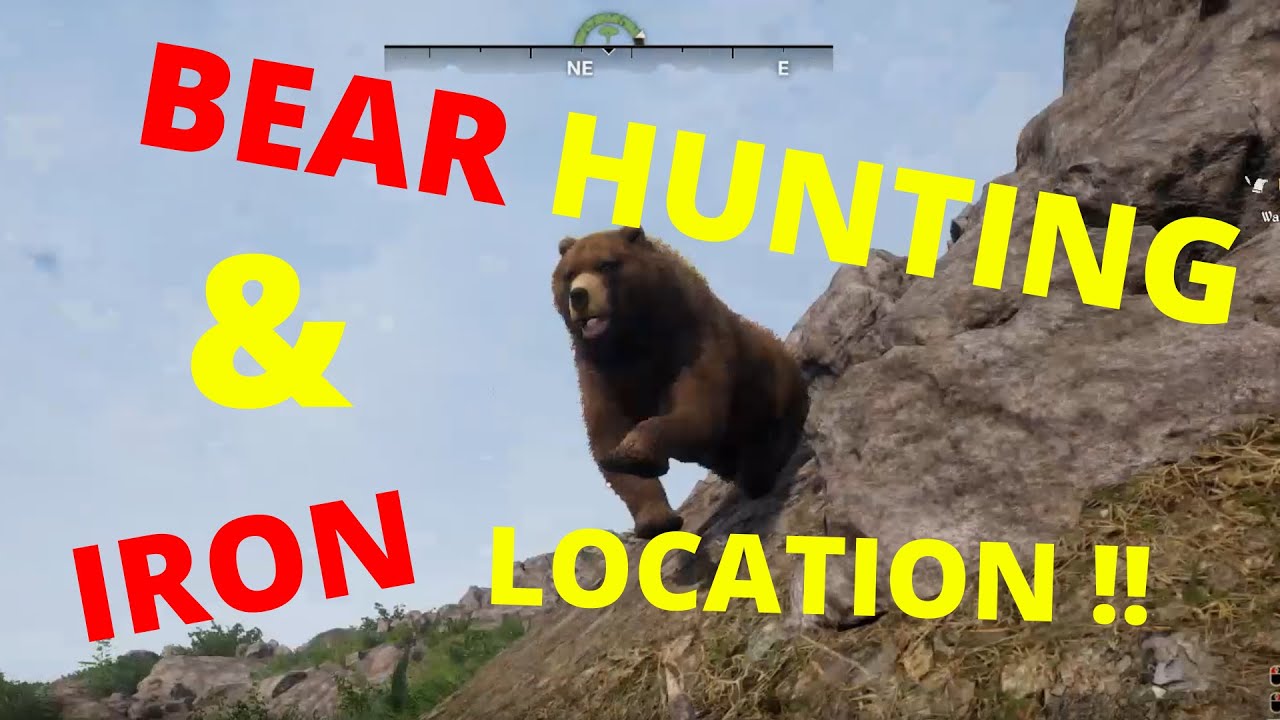 Medieval Dynasty IRON , BEAR Location - YouTube