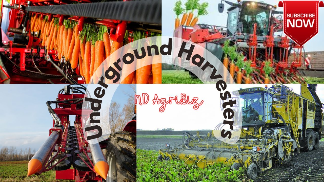 Carrot and Beet Harvester | Underground Vegetables Harvester Machine # ...