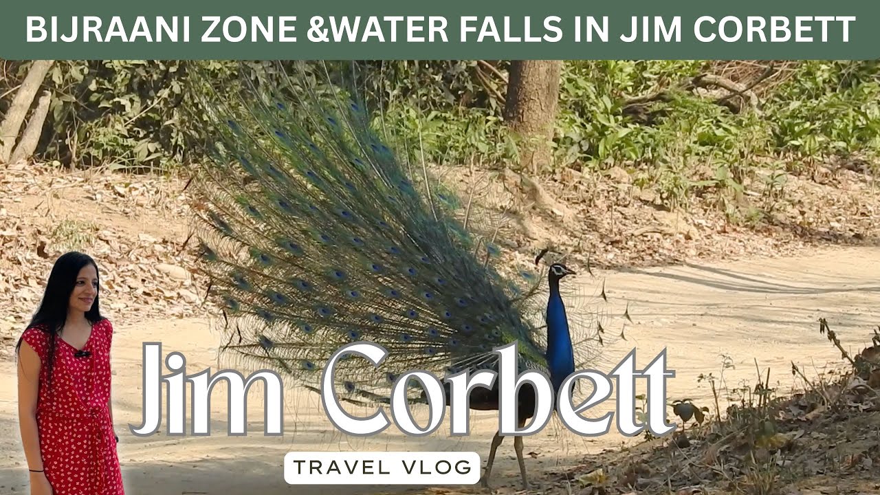 Exploring the STUNNING Bijrani Zone ! Waterfalls in Jim Corbett! - YouTube