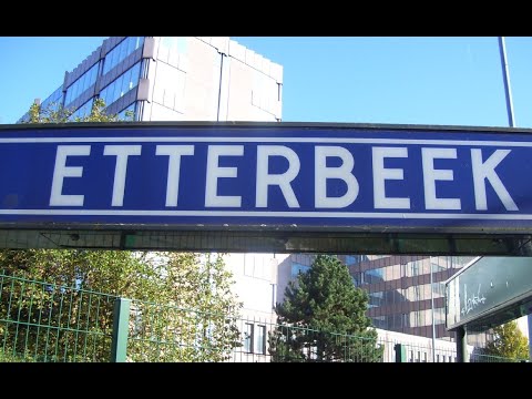 Naar begraafplaats Elsene 4 november 2024 - YouTube