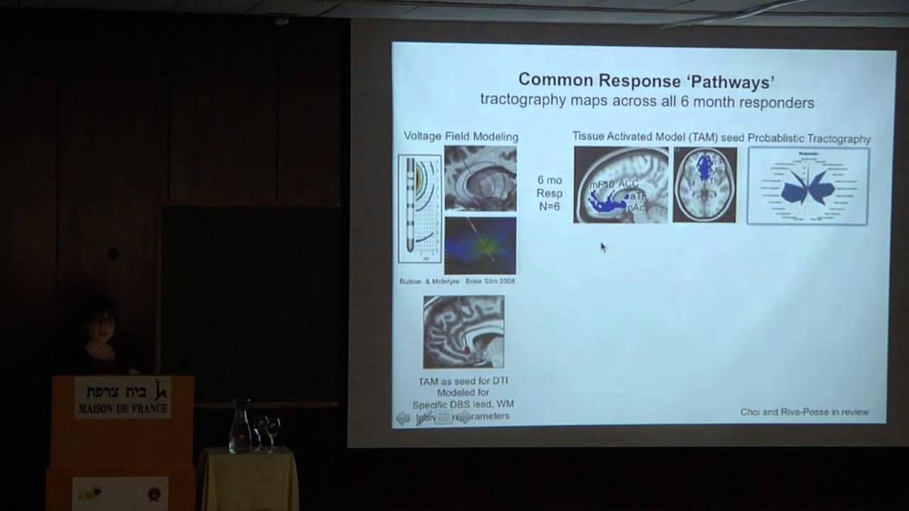 Interfacing with the Brain |DBS for Depression - Prof. Helen Mayberg ...