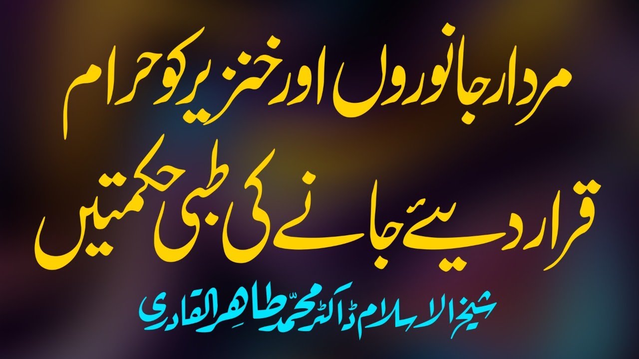 Why Pig Is Haram In Islam Shaykh ul Islam Dr Muhammad Tahir ul Qadri why-pig-is-haram-in-islam-shaykh-ul-islam-dr-muhammad-tahir-ul-qadri