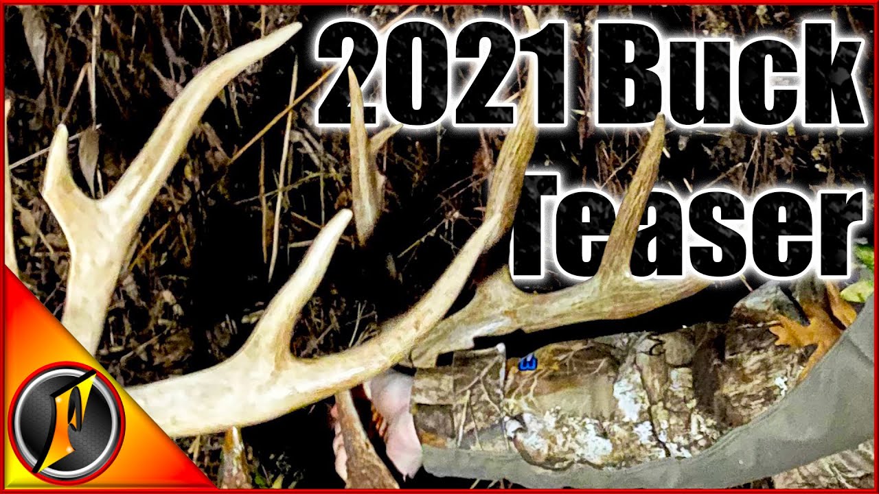 {Trailer} Flinter's 2021 PA Buck Teaser Video! 👀 - YouTube