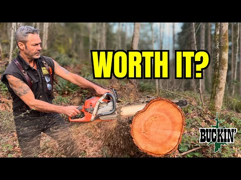 Is the New Husqvarna 564 XP Worth It?