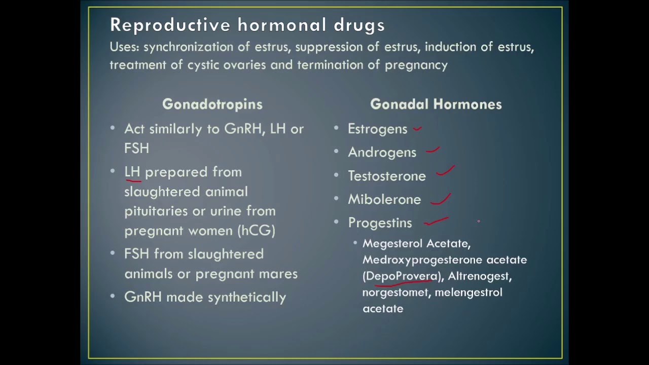 Applied Pharmacology Chapter 9, Endocrine Drugs - YouTube
