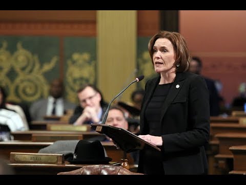 Rep. Winnie Brinks Bids Farewell to the Michigan House of ...