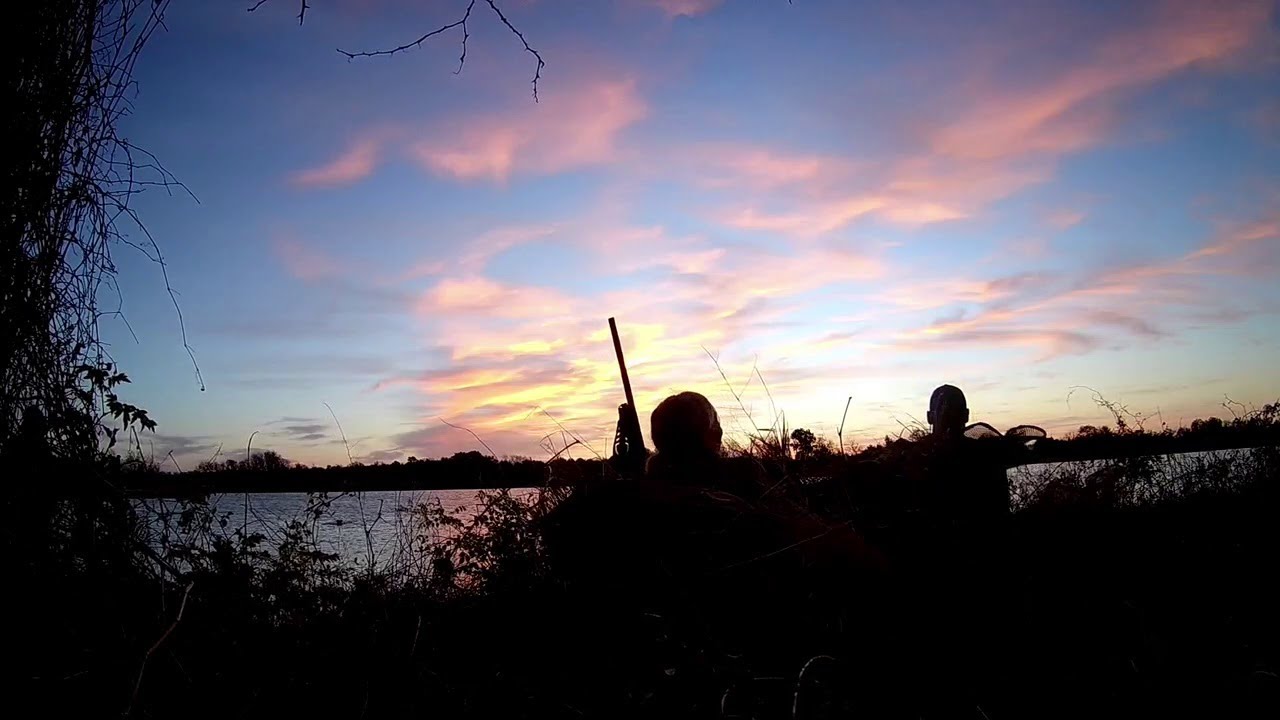 Duck Hunting Win || ViralHog - YouTube