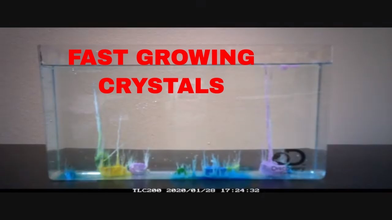 Fast‑Growing Crystal Experiment 🔬 | Watch Crystals Grow in Minutes ...