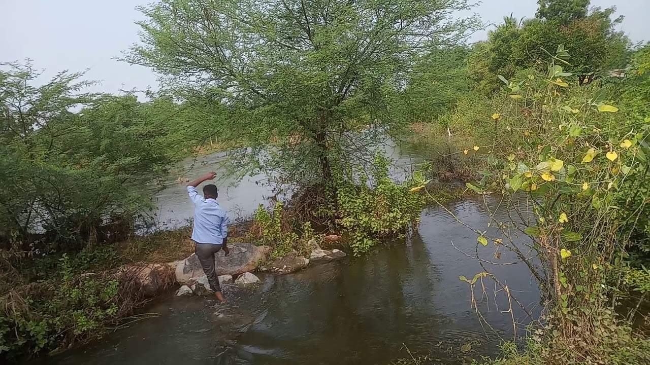 bibi nagar 2020 flood and fishes(1) - YouTube