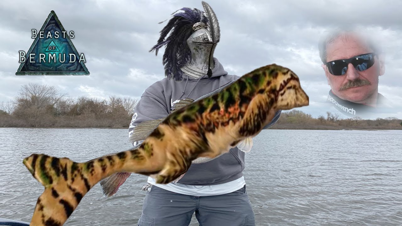 FISH VIDEO (Beast of Bermuda) - YouTube